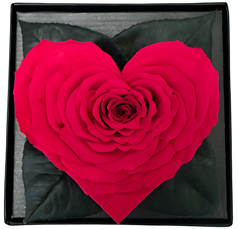 Real Roses That Never Wilt – The Rose Maven